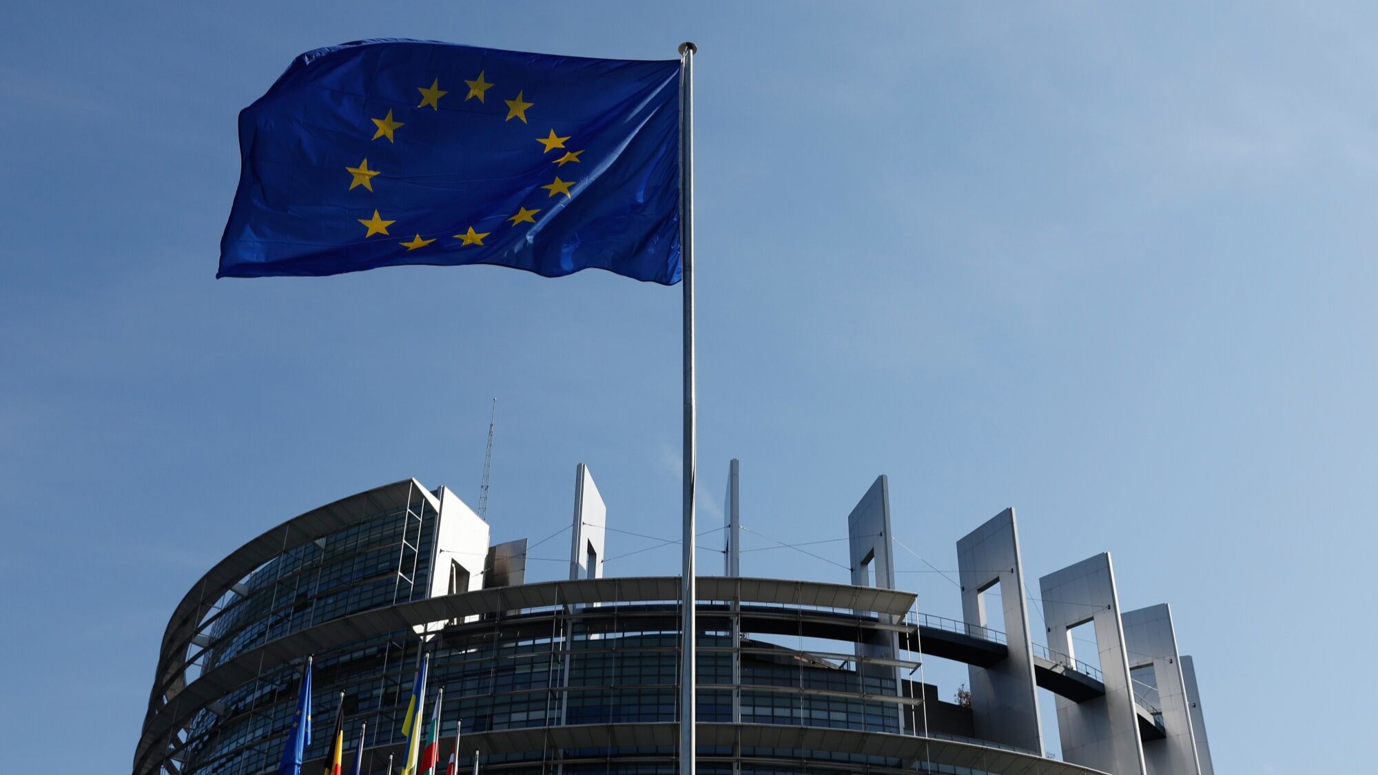 Technology can help stop greenwashing, says EU regulator - Sustainable ...