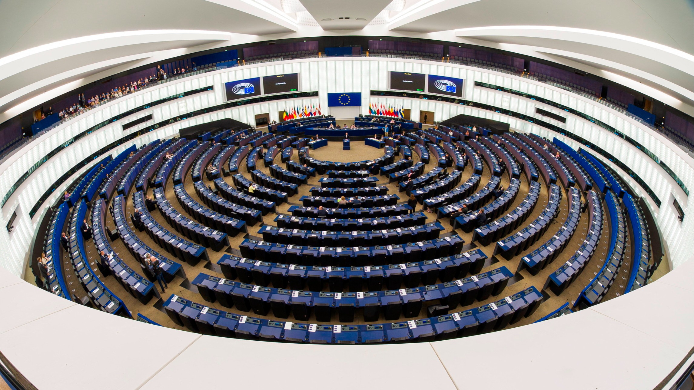 Editor’s note: a lack of transparency can kill - Sustainable Views