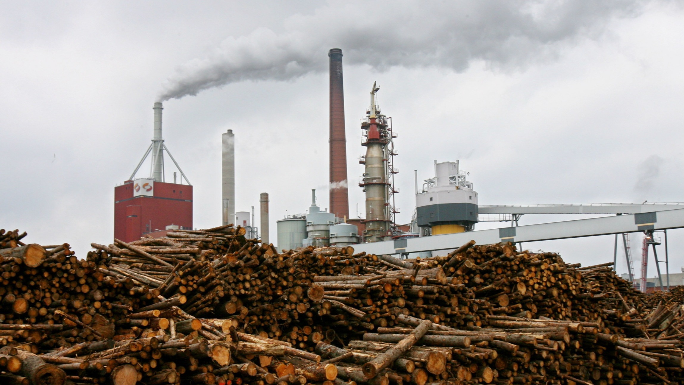 More nature-related risks and opportunities in investor portfolios ...