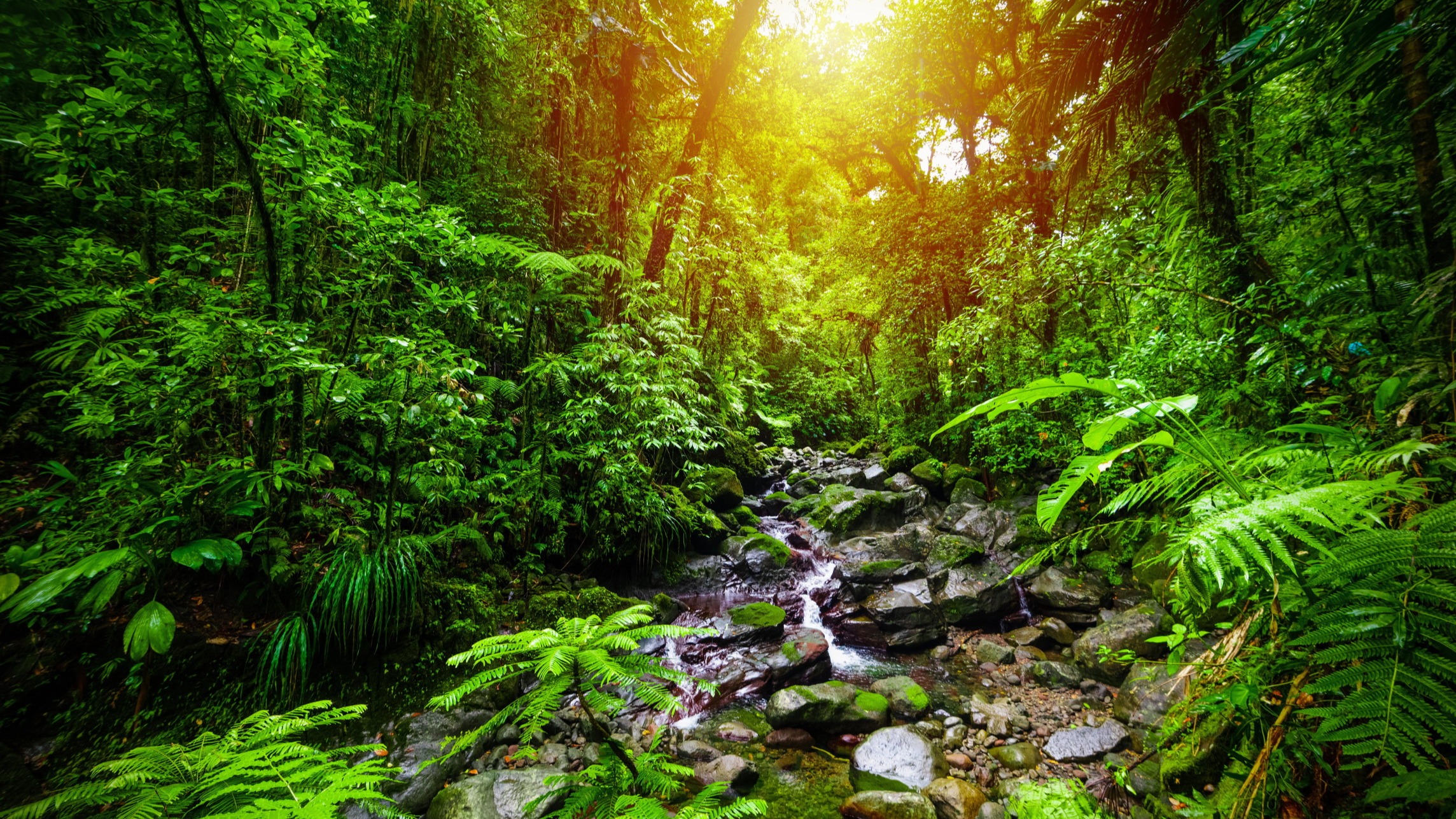 Nature litigation set to rise following increase in green legislation ...