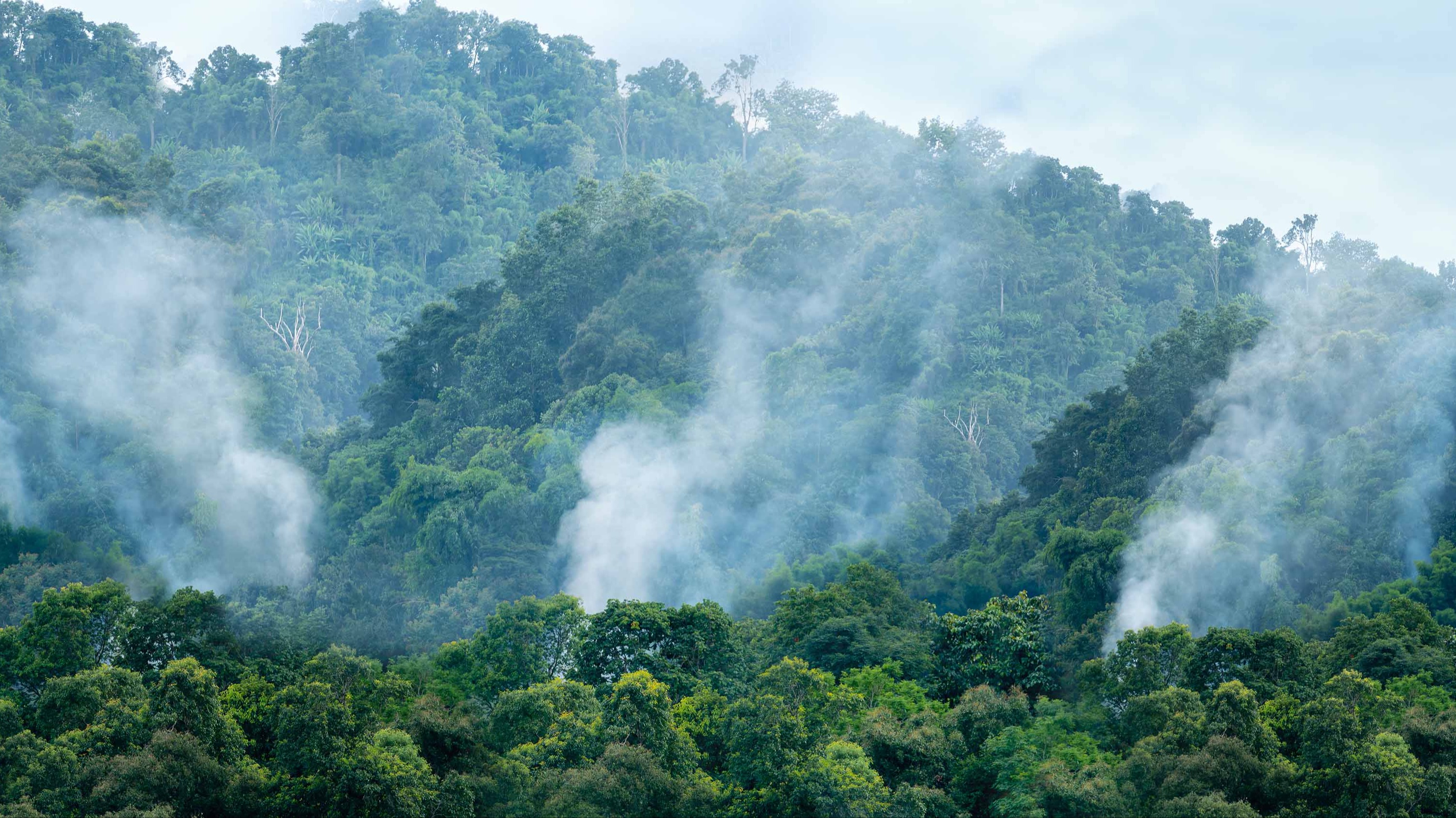 Natural systems as important as major banks for economic stability ...