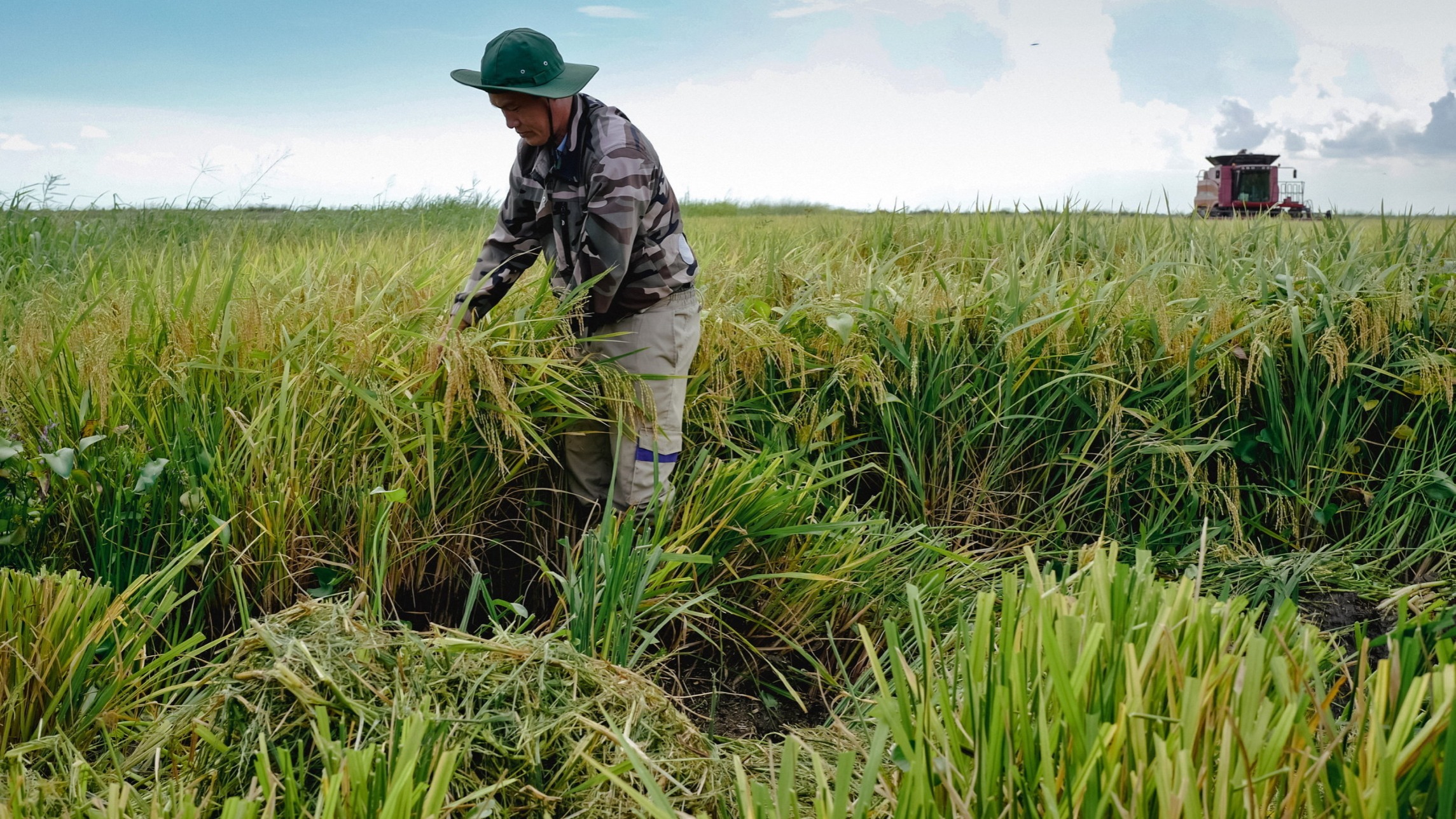 Agriculture investors exposed to water scarcity risk - Sustainable Views
