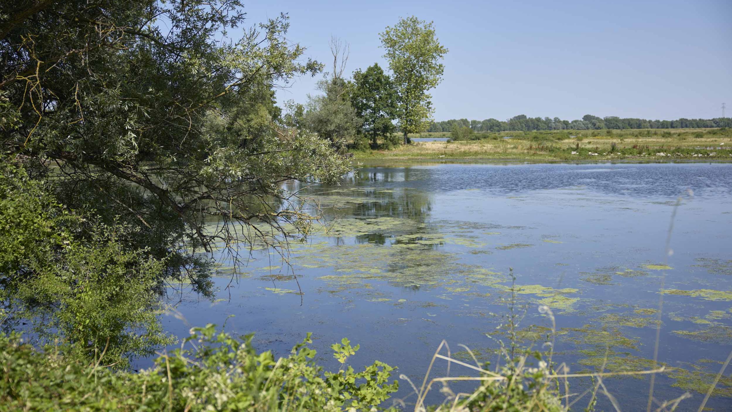Non-profits urge EU to make nature restoration budget a priority ...